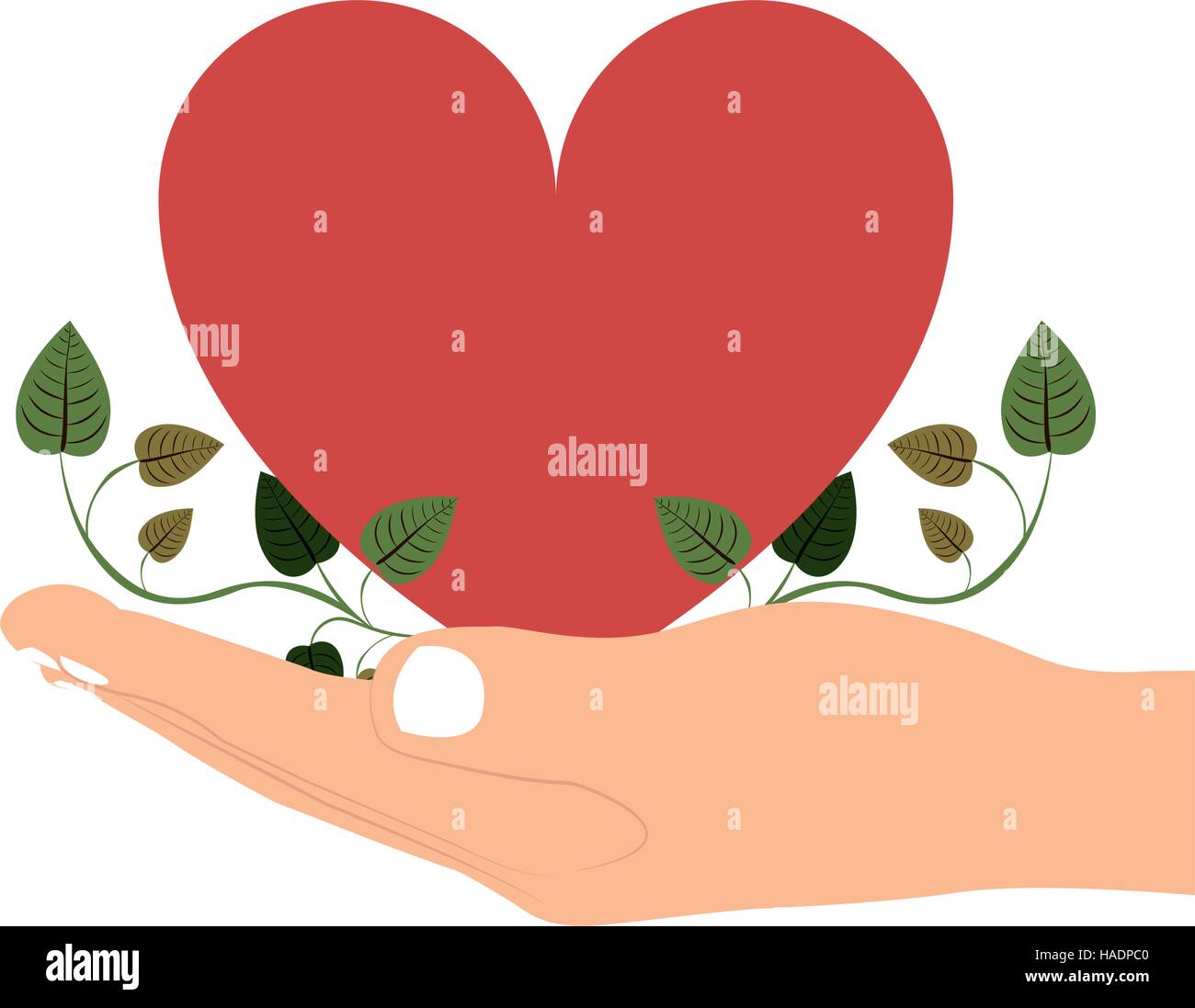 hand holding heart with border ivy of leaves vector illustration Stock ...