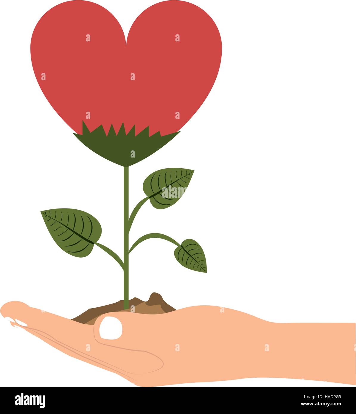 Garden grown flowers Stock Vector Images - Alamy