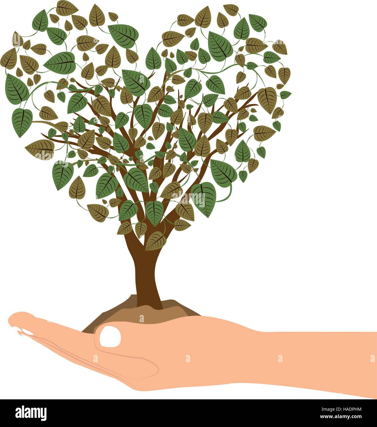 hand holding a tree with leafy branches vector illustration Stock ...