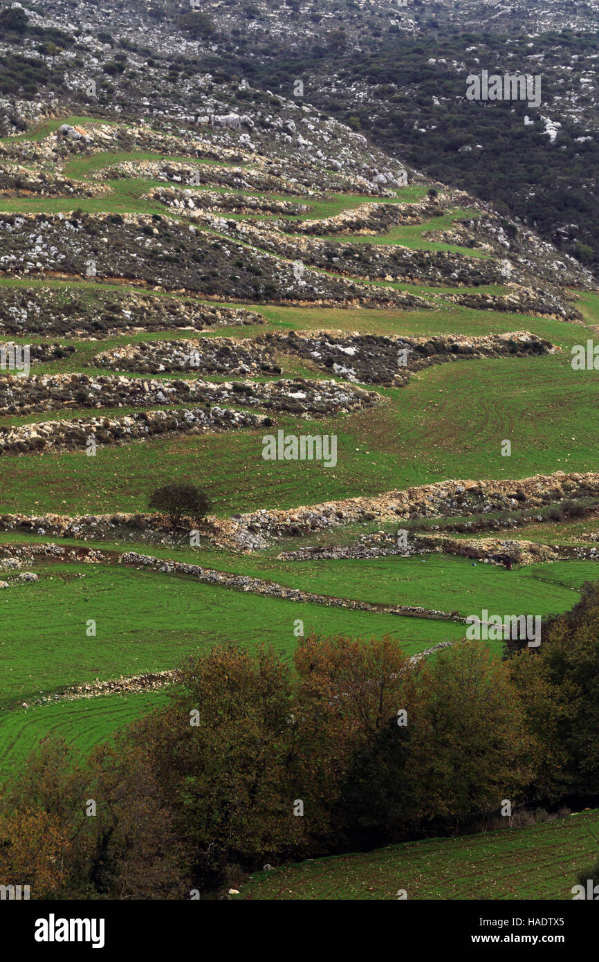 Marginal land hi-res stock photography and images - Alamy