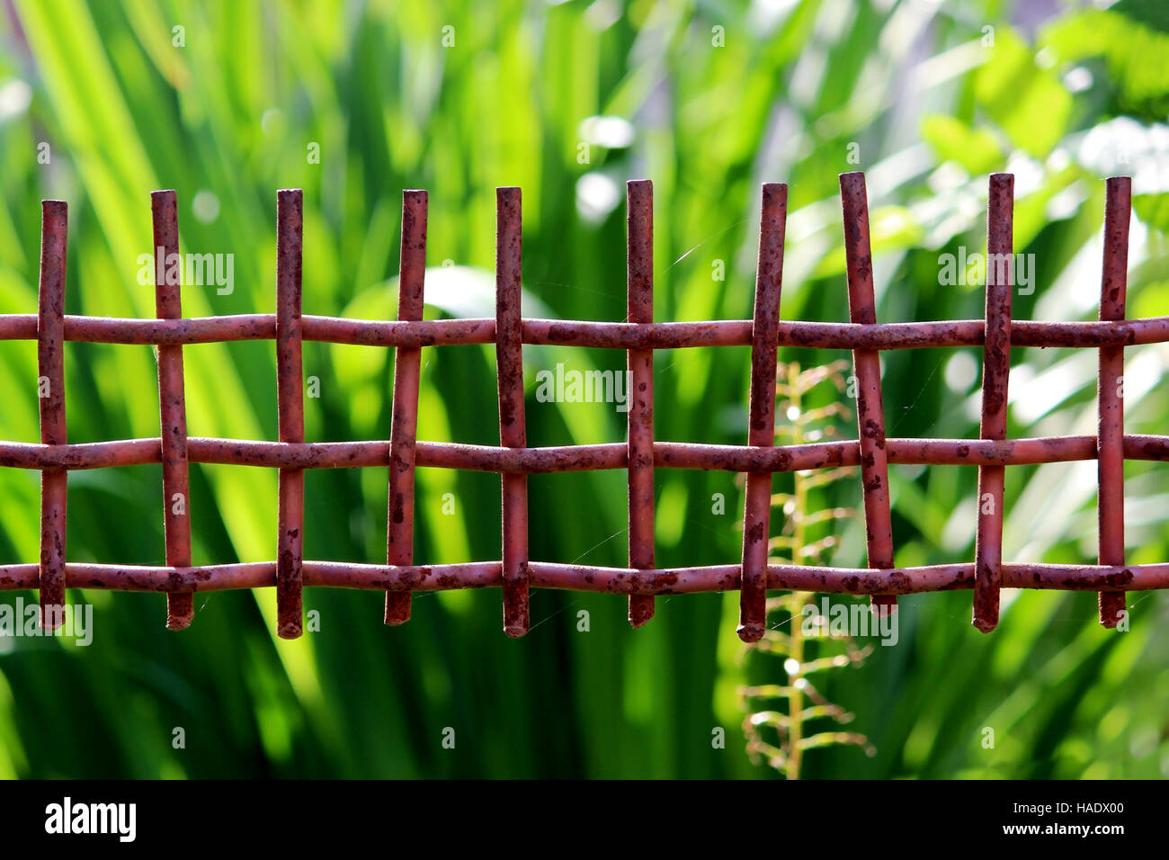 rusty metal fence on a background of green grass Stock Photo - Alamy
