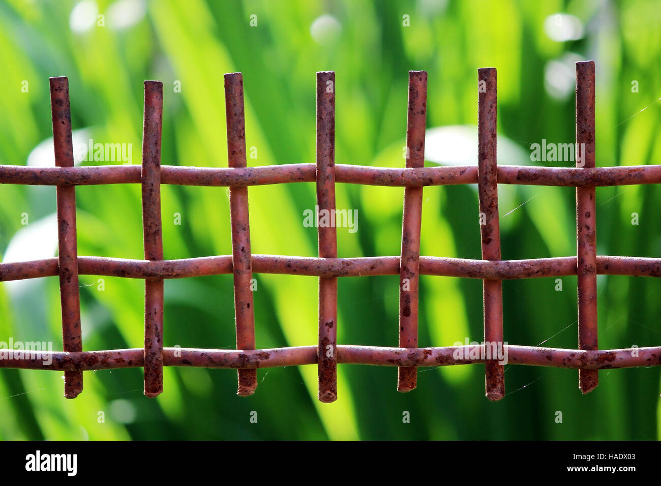 rusty metal fence on a background of green grass Stock Photo - Alamy