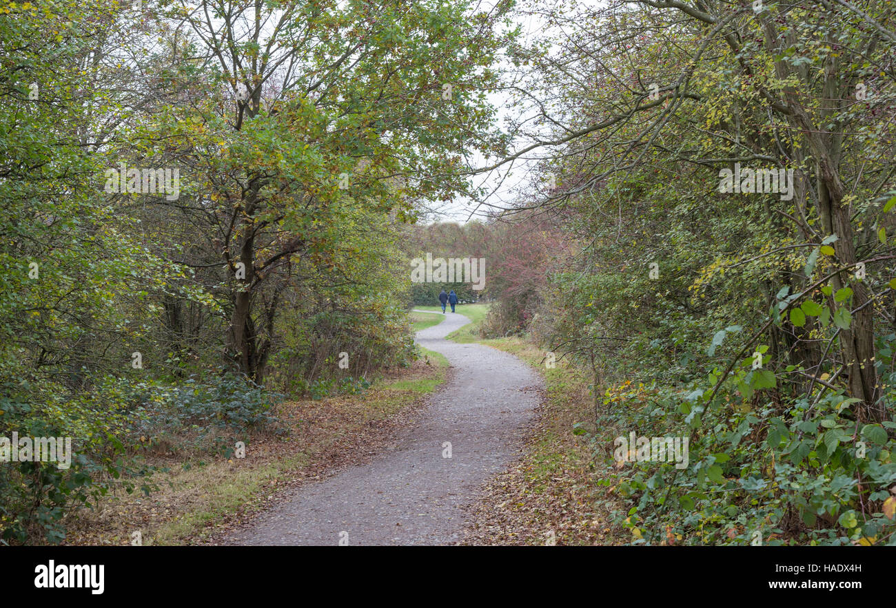 Two men walking through the forest on a country path Stock Photo - Alamy