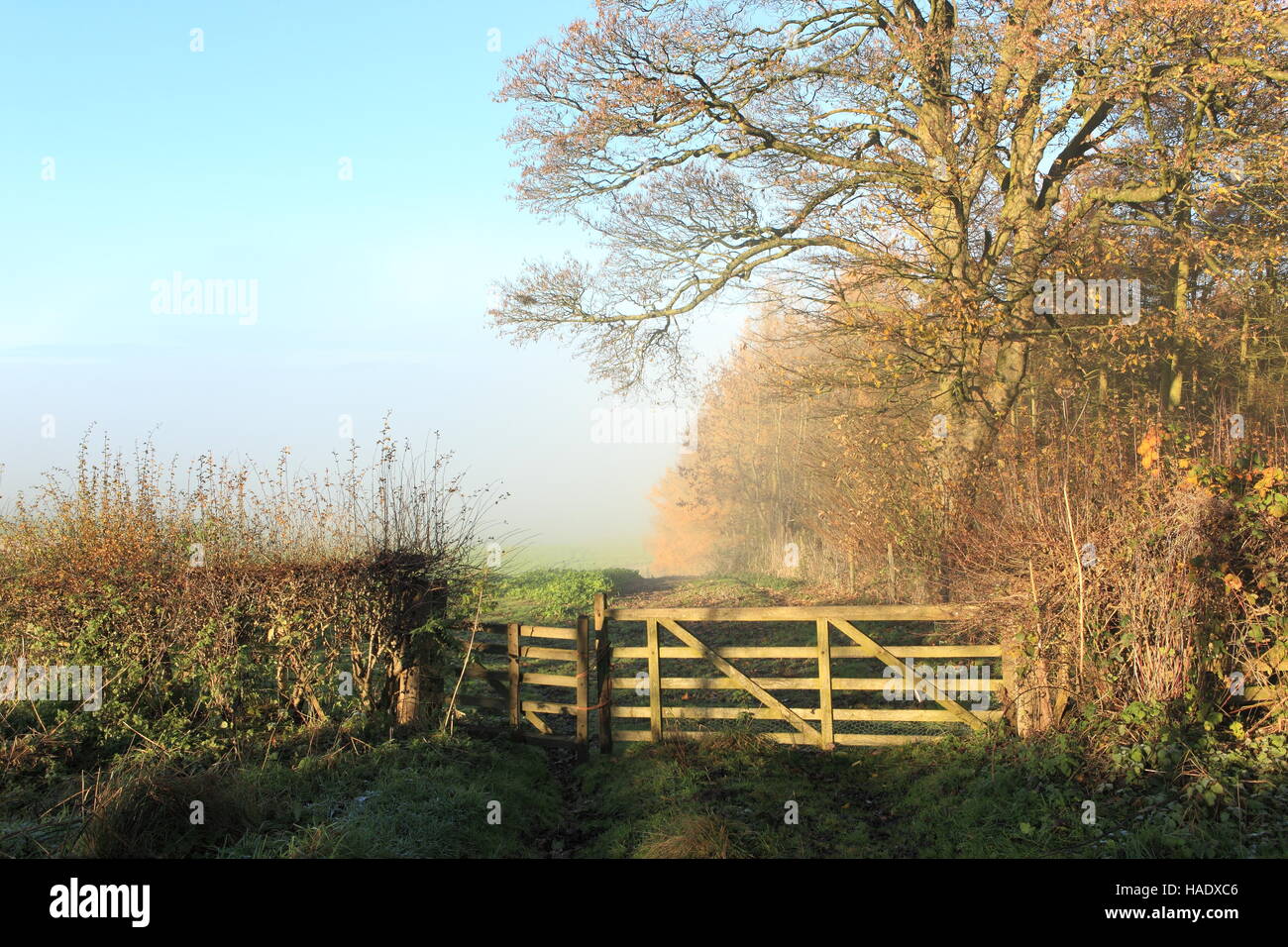 An English landscape with a wooden five barred field gate by deciduous ...