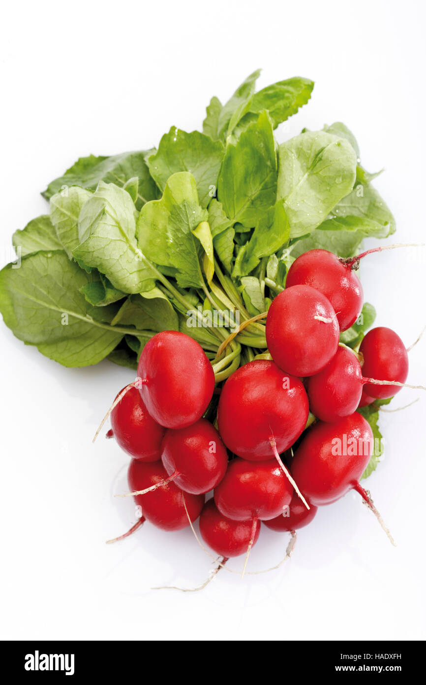Bunch of radishes Stock Photo - Alamy