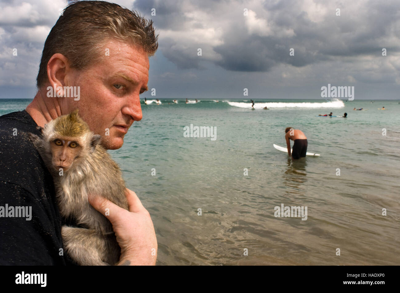 Monkey on the surfboard hi-res stock photography and images - Alamy