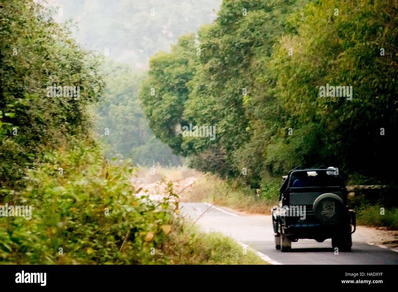 Open off road jeeps on an open road in the middle of the forest in Jim ...