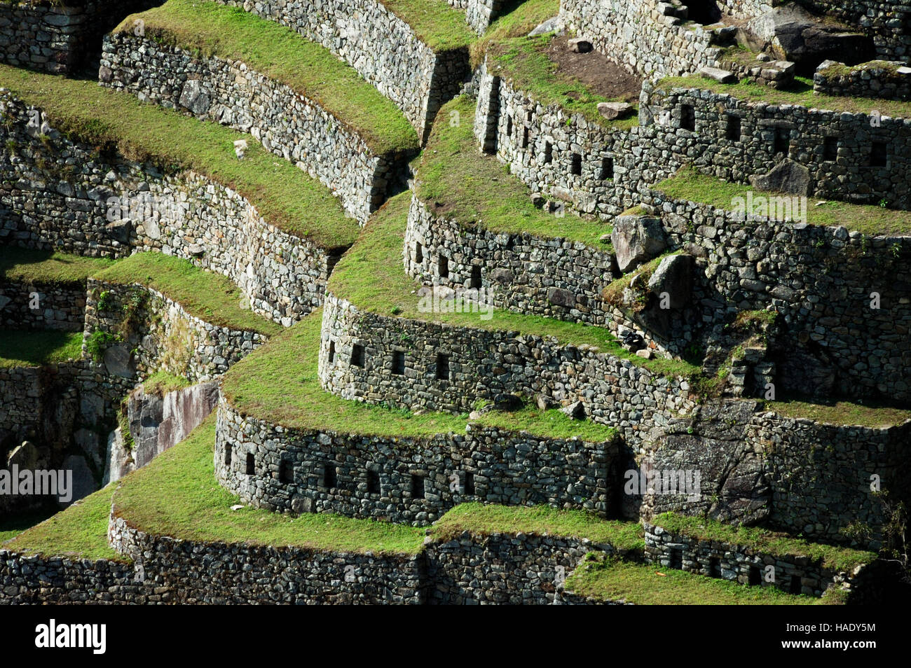 Terraces of Machu Picchu, Peru, South America Stock Photo - Alamy