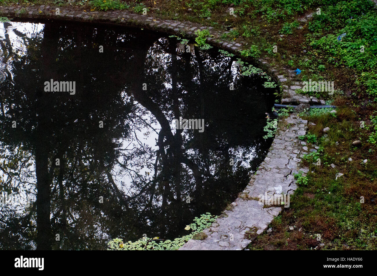 Artificially created pool round hot water spring Stock Photo - Alamy