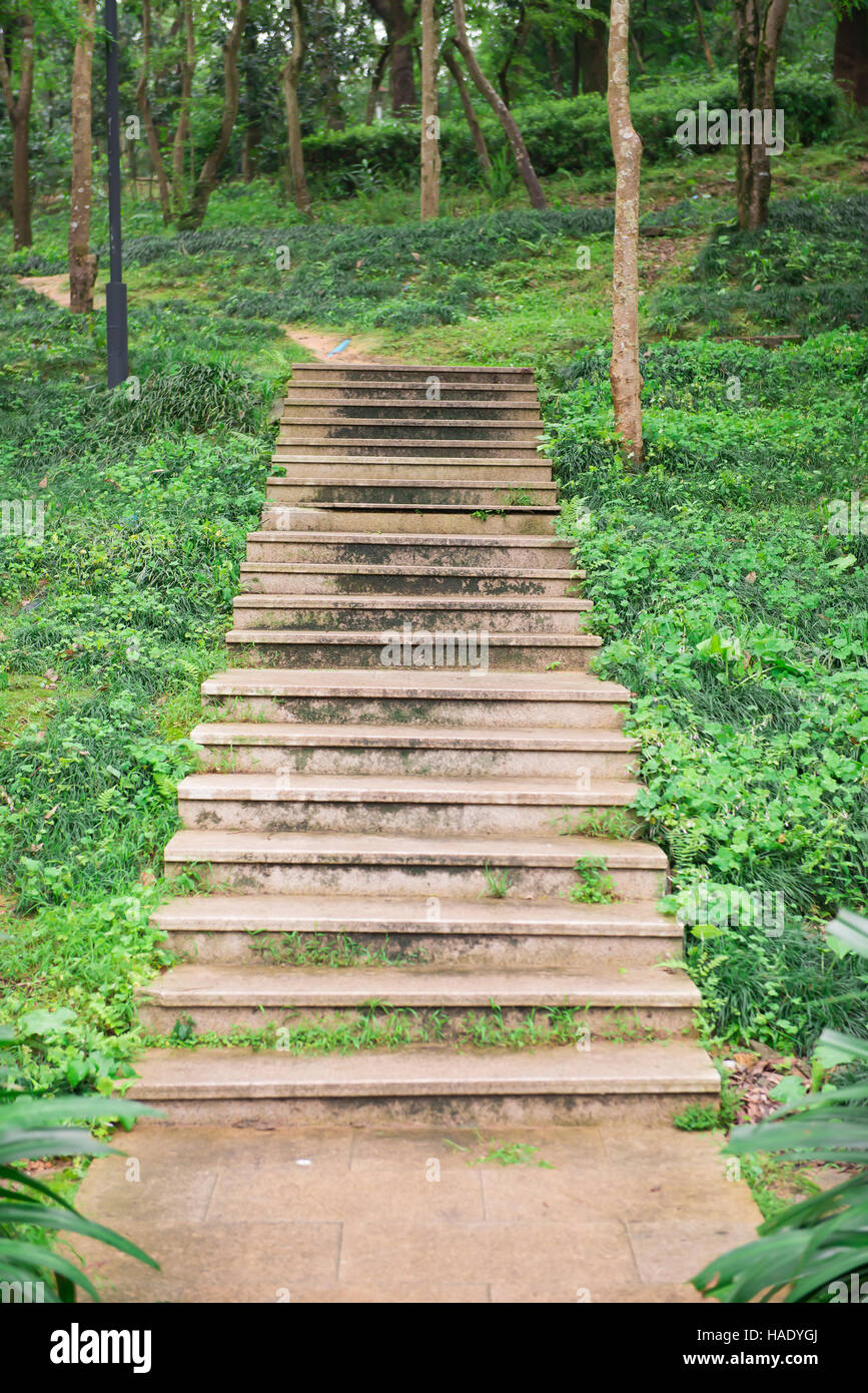 stairs going up to a hill Stock Photo - Alamy