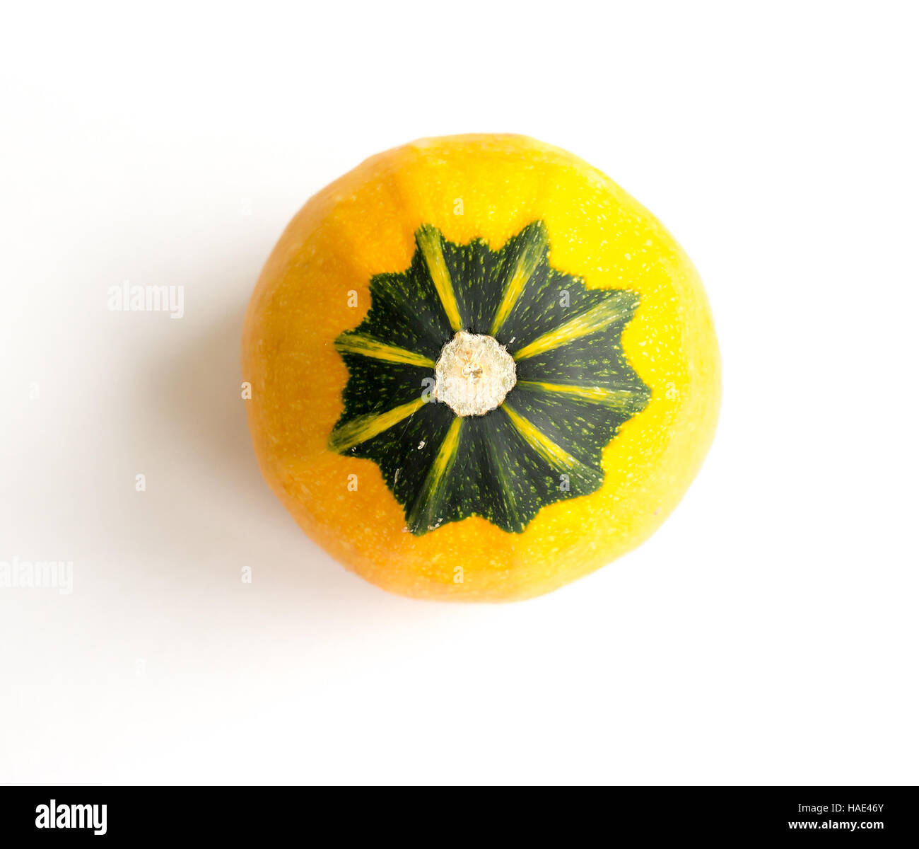 The nature raw squash object Stock Photo - Alamy