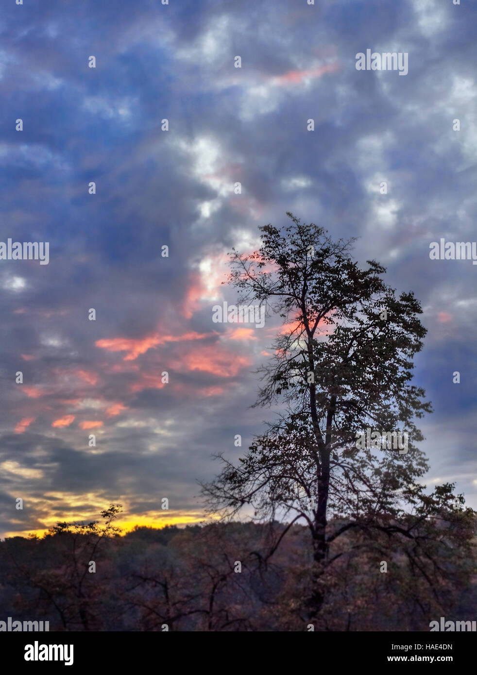 Dark colours hi-res stock photography and images - Alamy