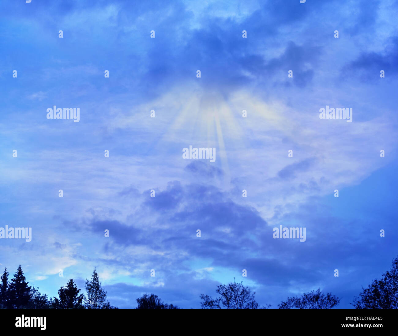 Sun rays silhouette hi-res stock photography and images - Alamy