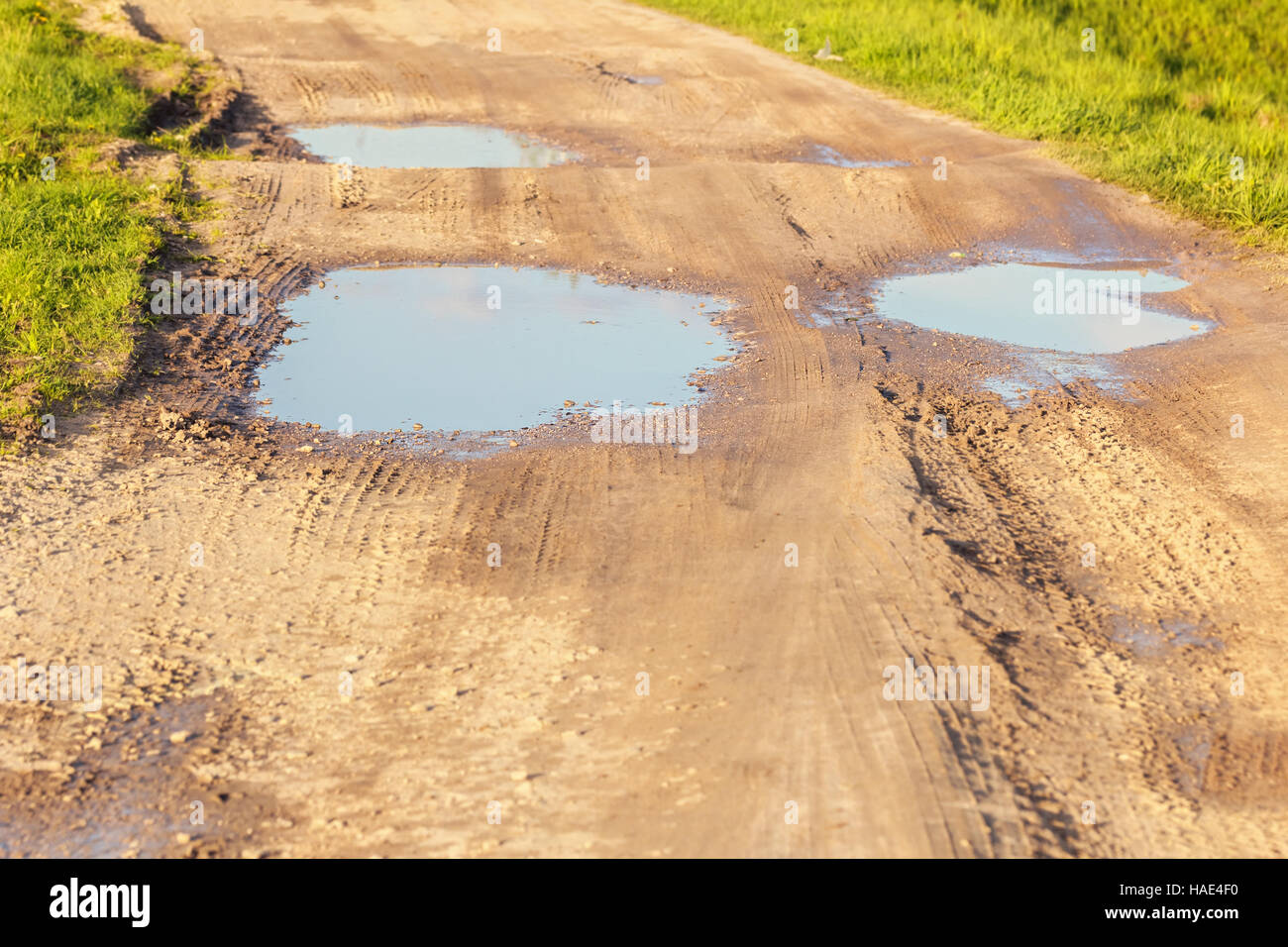 Big puddles on dirt road at summer day Stock Photo - Alamy