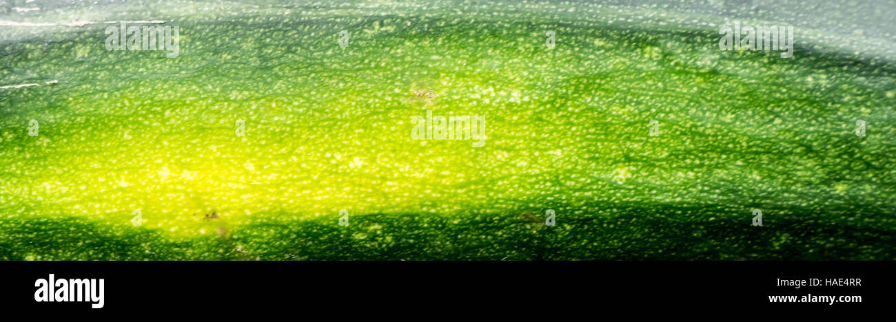 The nature raw squash background and texture Stock Photo - Alamy