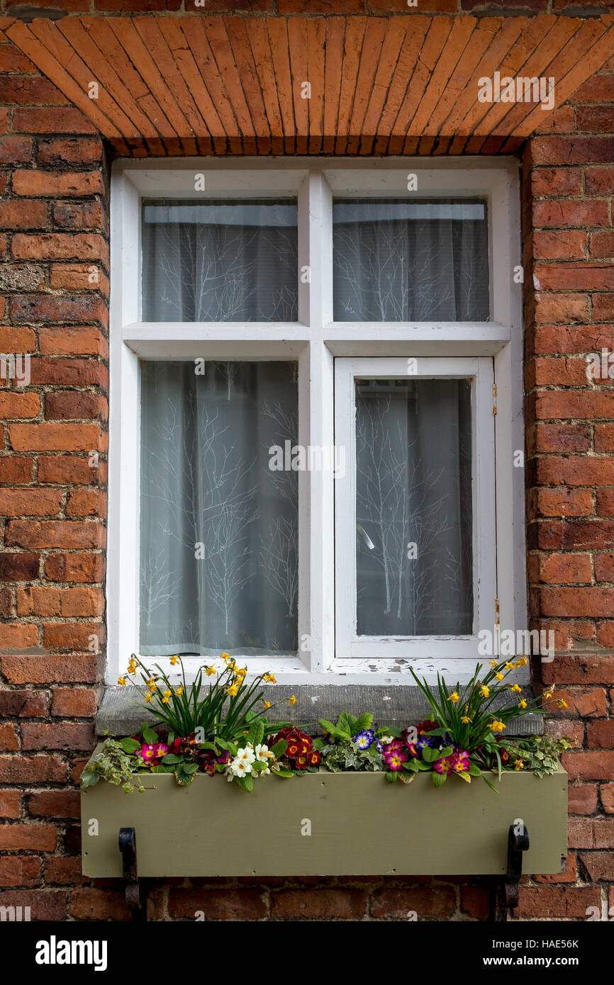 Window box with white frame window and red brick surround Stock Photo ...