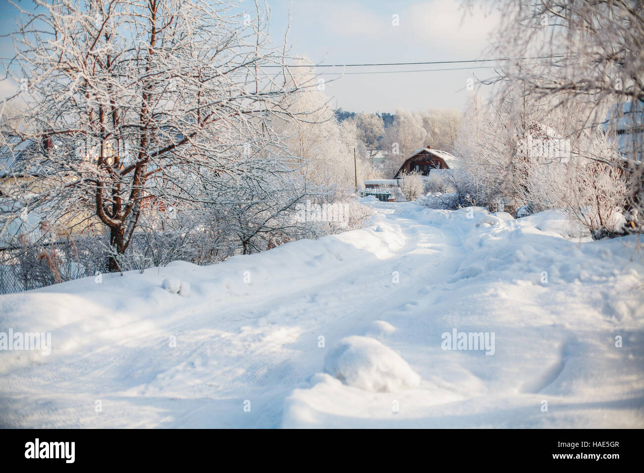 Rural scene with road hi-res stock photography and images - Alamy