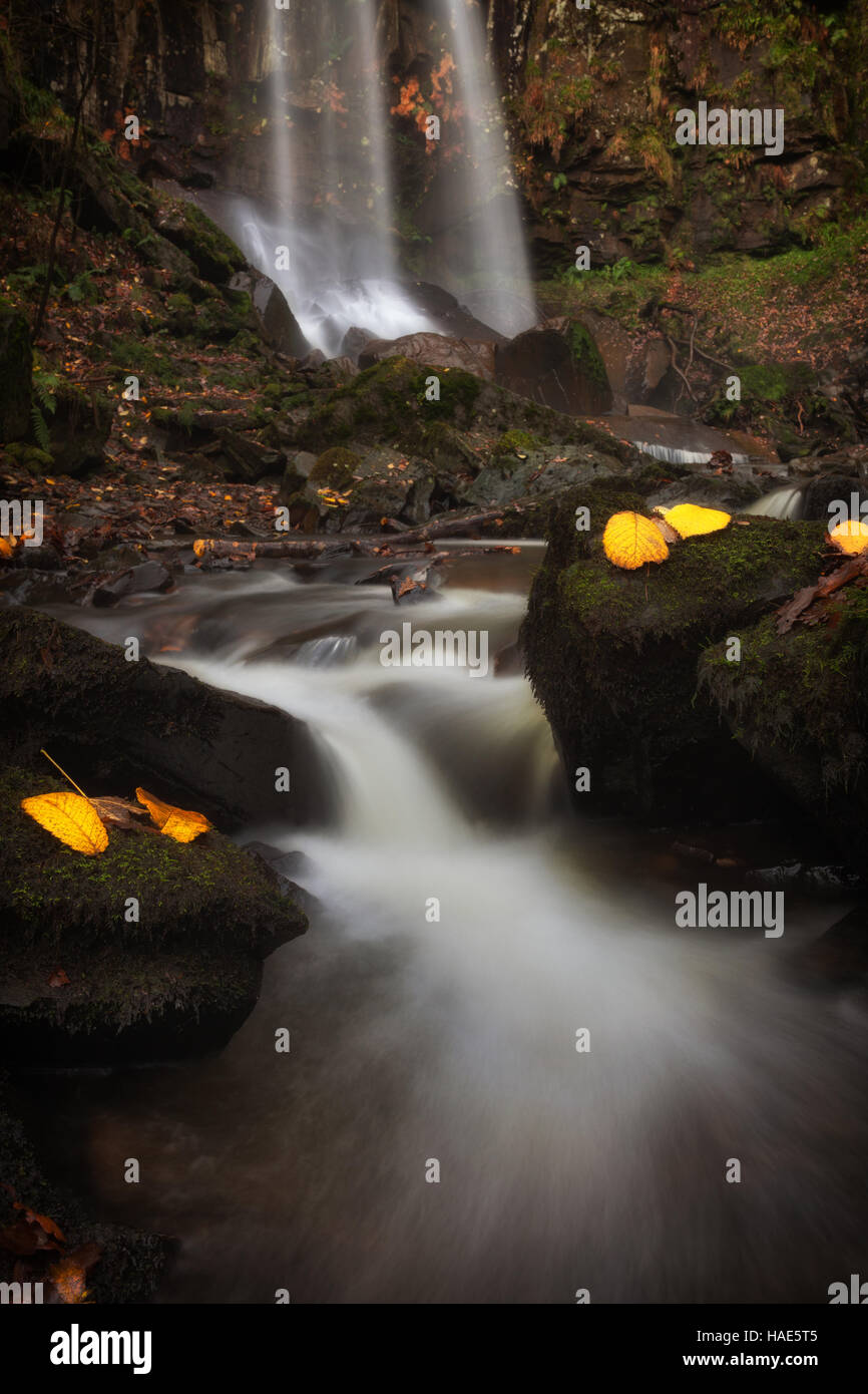 Melincourt waterfalls hi-res stock photography and images - Alamy