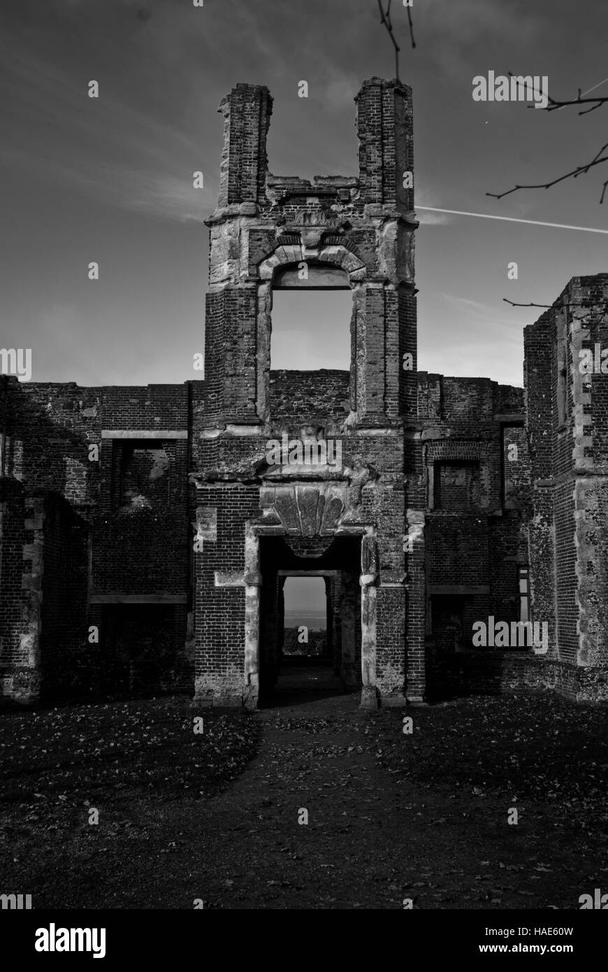 Beauty and decay hi-res stock photography and images - Alamy