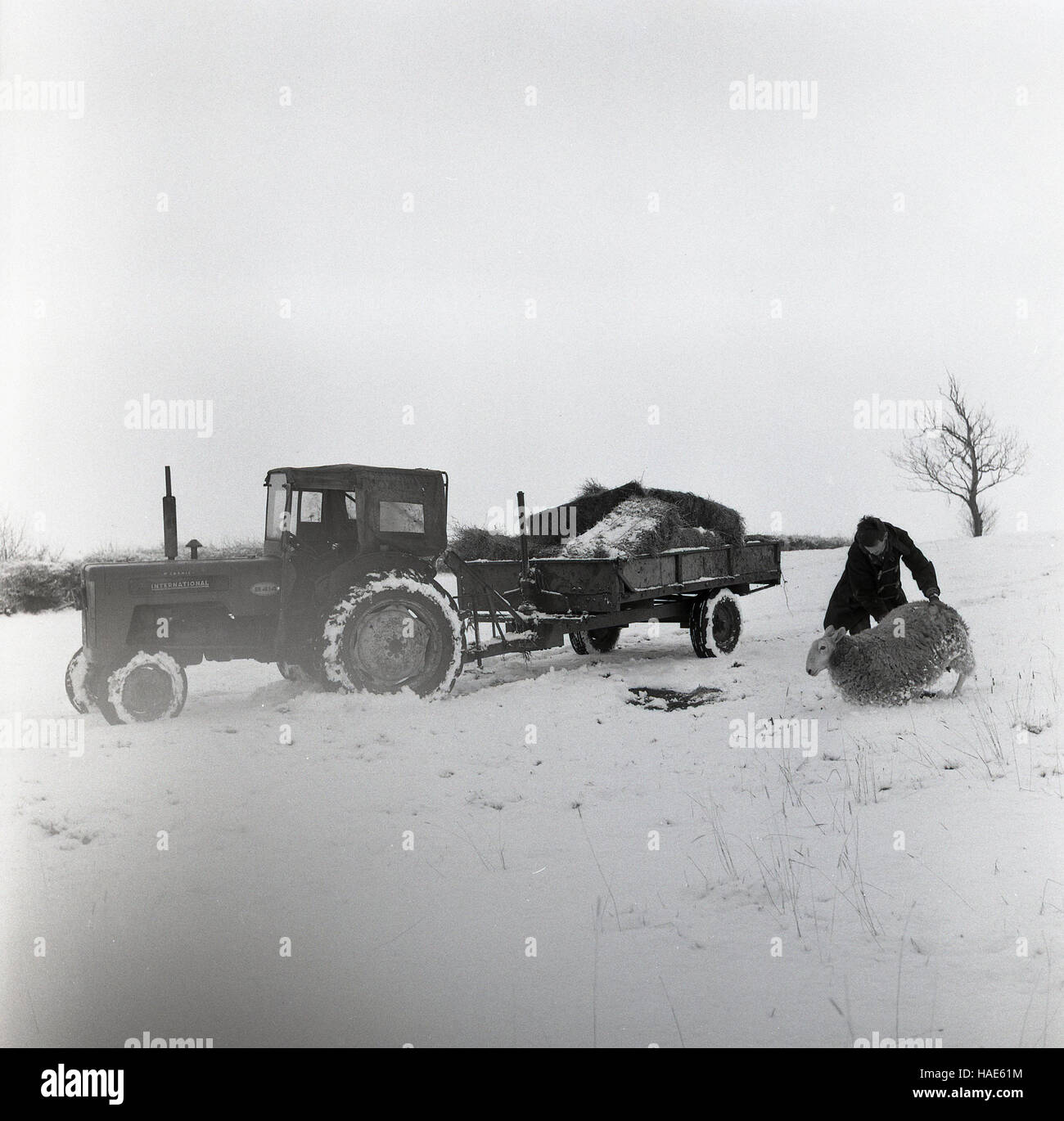1960s farming hi-res stock photography and images - Alamy