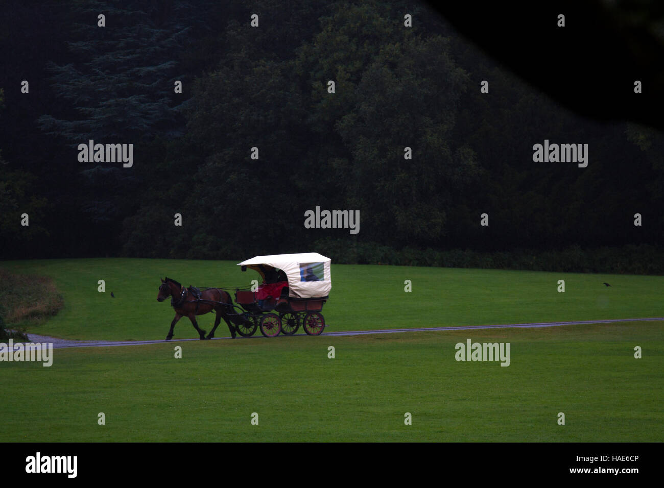 Horse and cart ireland hi-res stock photography and images - Alamy