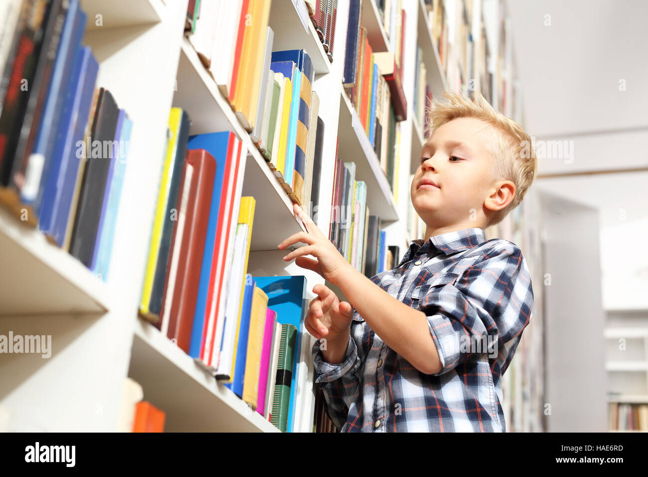 Small student in the library. The boy chooses a book Stock Photo - Alamy