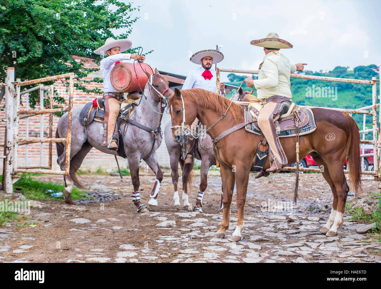 Charros participate at the 23rd International Mariachi & Charros ...