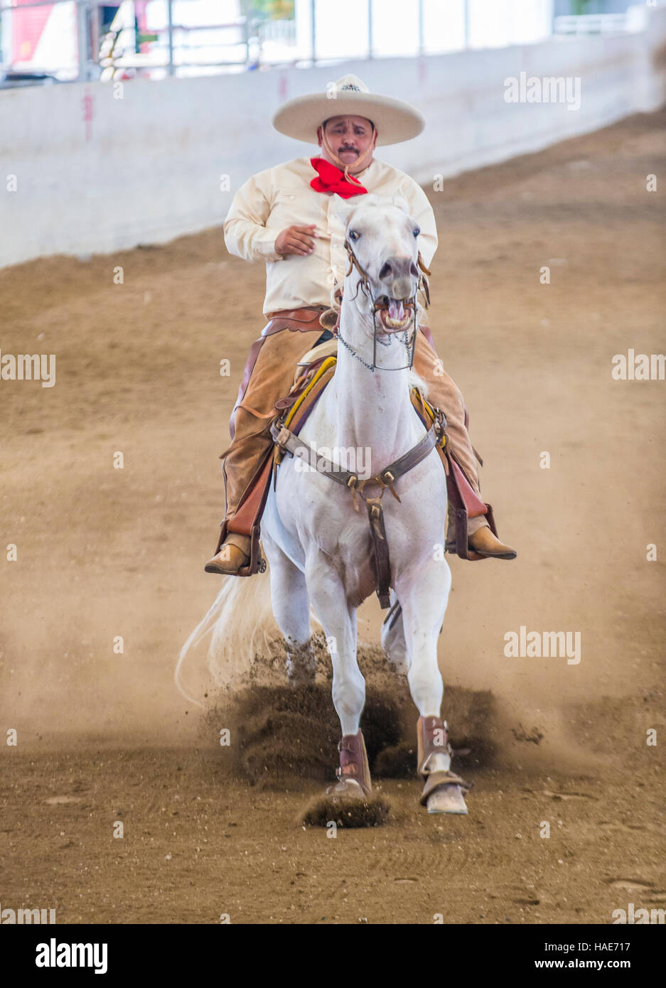 Charreria hi-res stock photography and images - Alamy