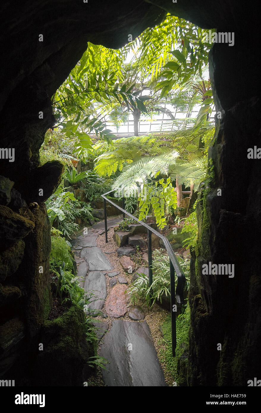 Morris arboretum of the university of pennsylvania hi-res stock ...