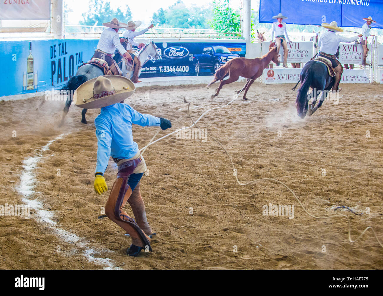 Charro participates at the 23rd International Mariachi & Charros ...