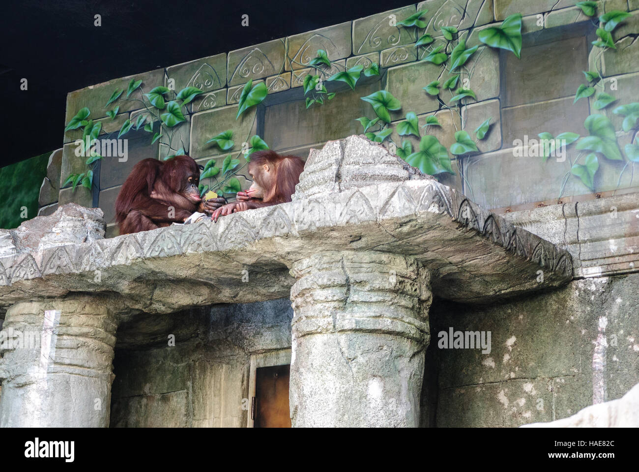 Erie zoological park hi-res stock photography and images - Alamy