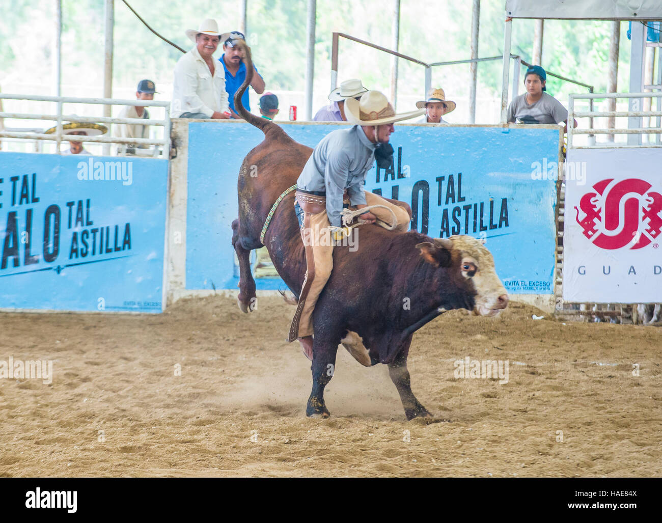 Mexican charro rope hi-res stock photography and images - Alamy