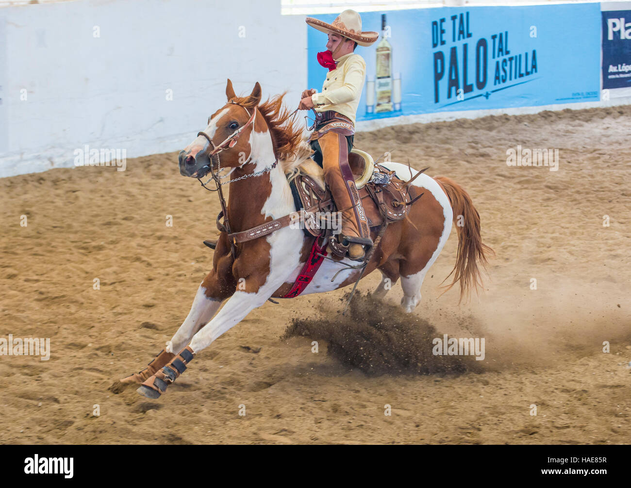 Charreria hi-res stock photography and images - Alamy