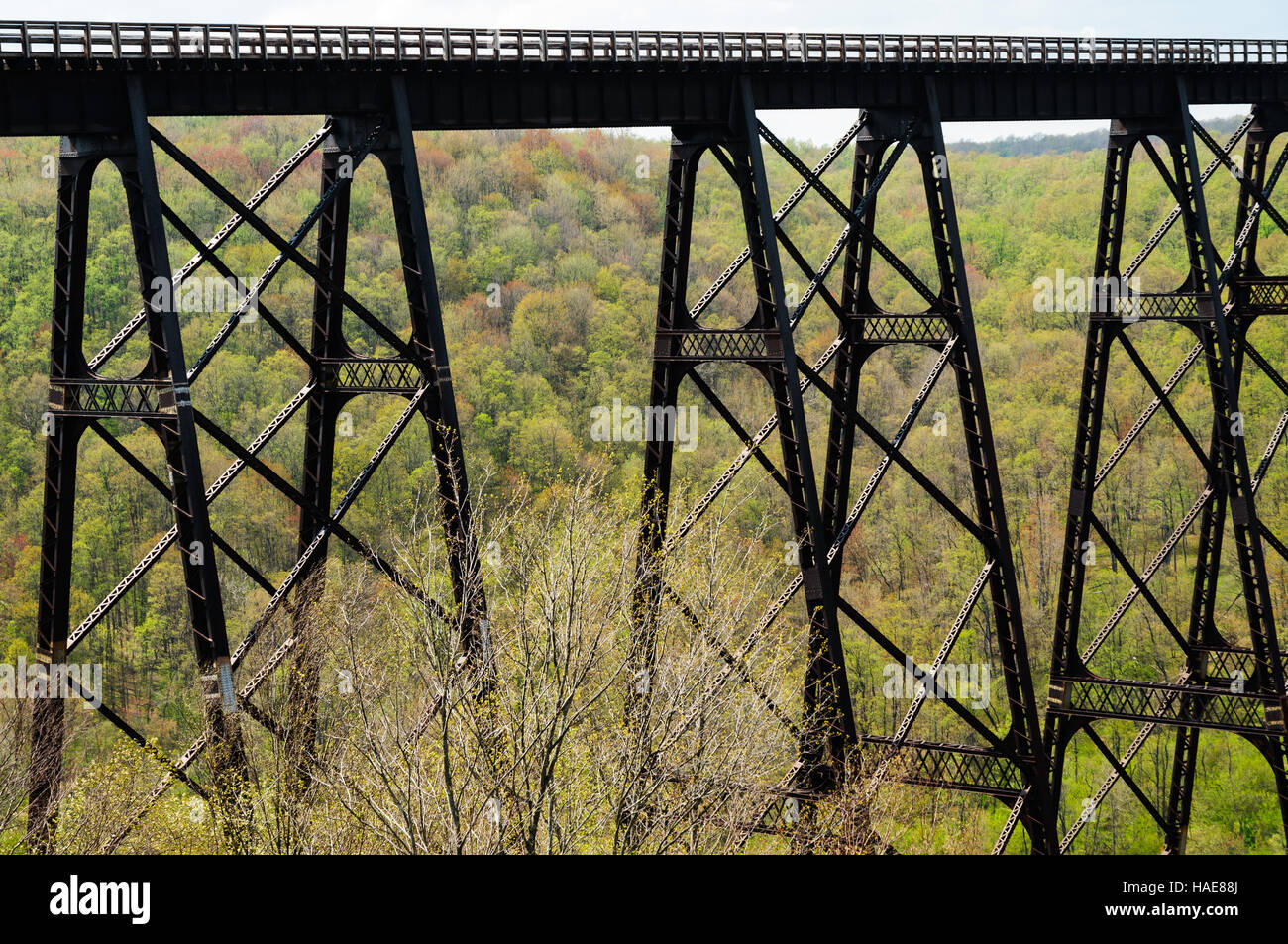 Kinzua Bridge State Park Stock Photo - Alamy