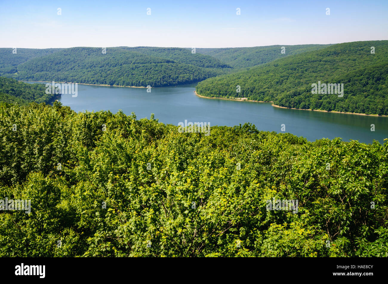 Allegheny National Forest Stock Photo - Alamy