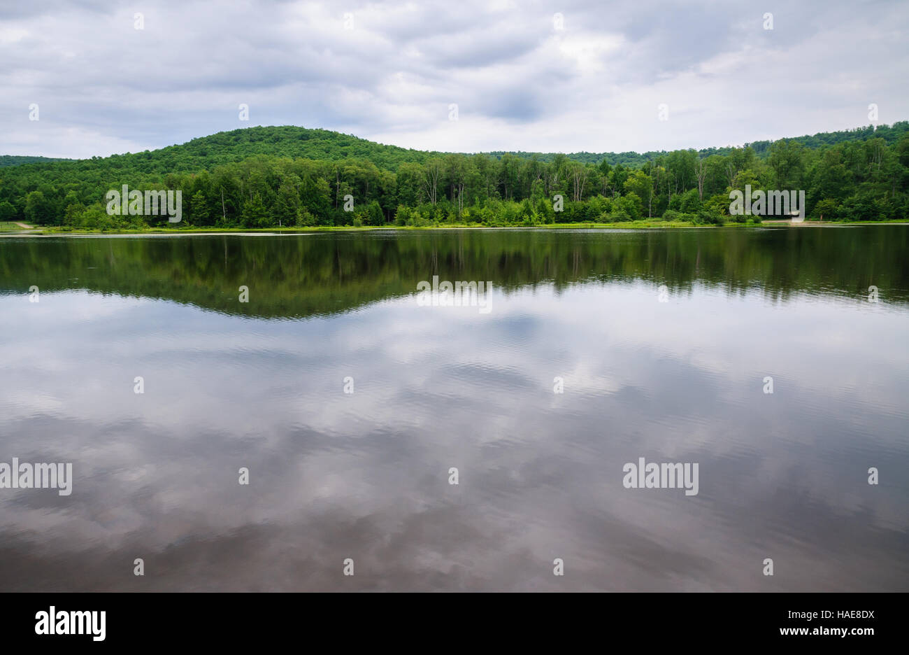 Chapman State Park Stock Photo - Alamy