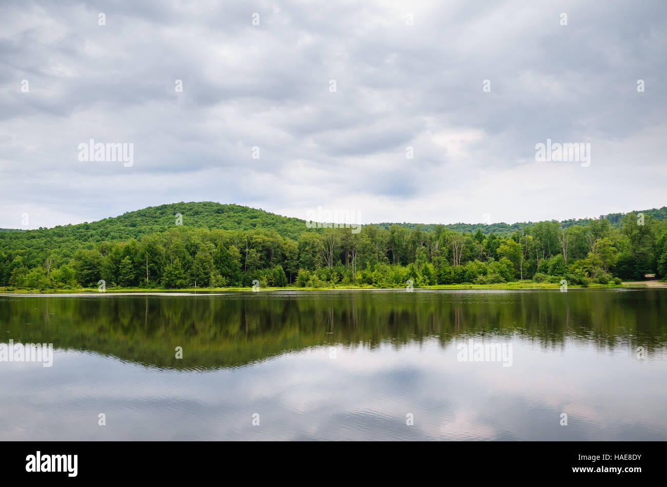 Chapman State Park Stock Photo - Alamy