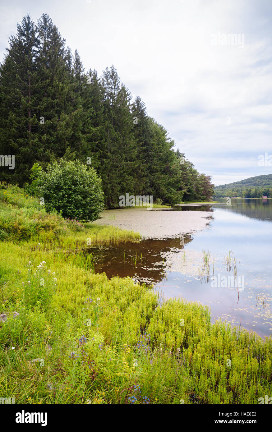 Chapman State Park Stock Photo - Alamy