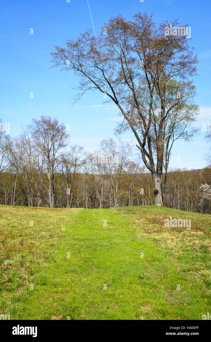 Pithole city hi-res stock photography and images - Alamy