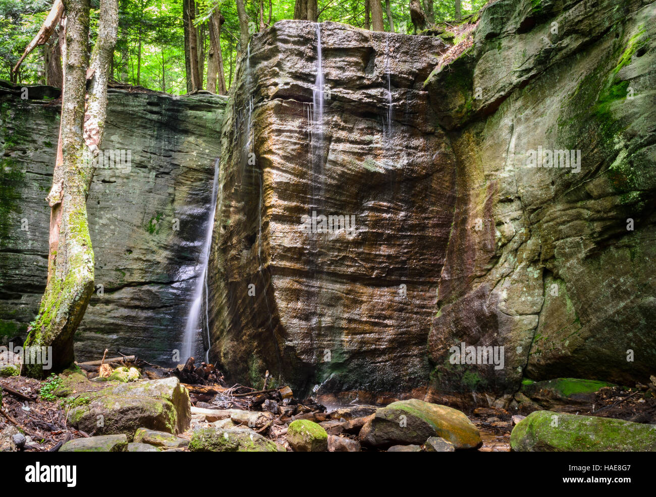 Allegheny National Forest Stock Photo - Alamy