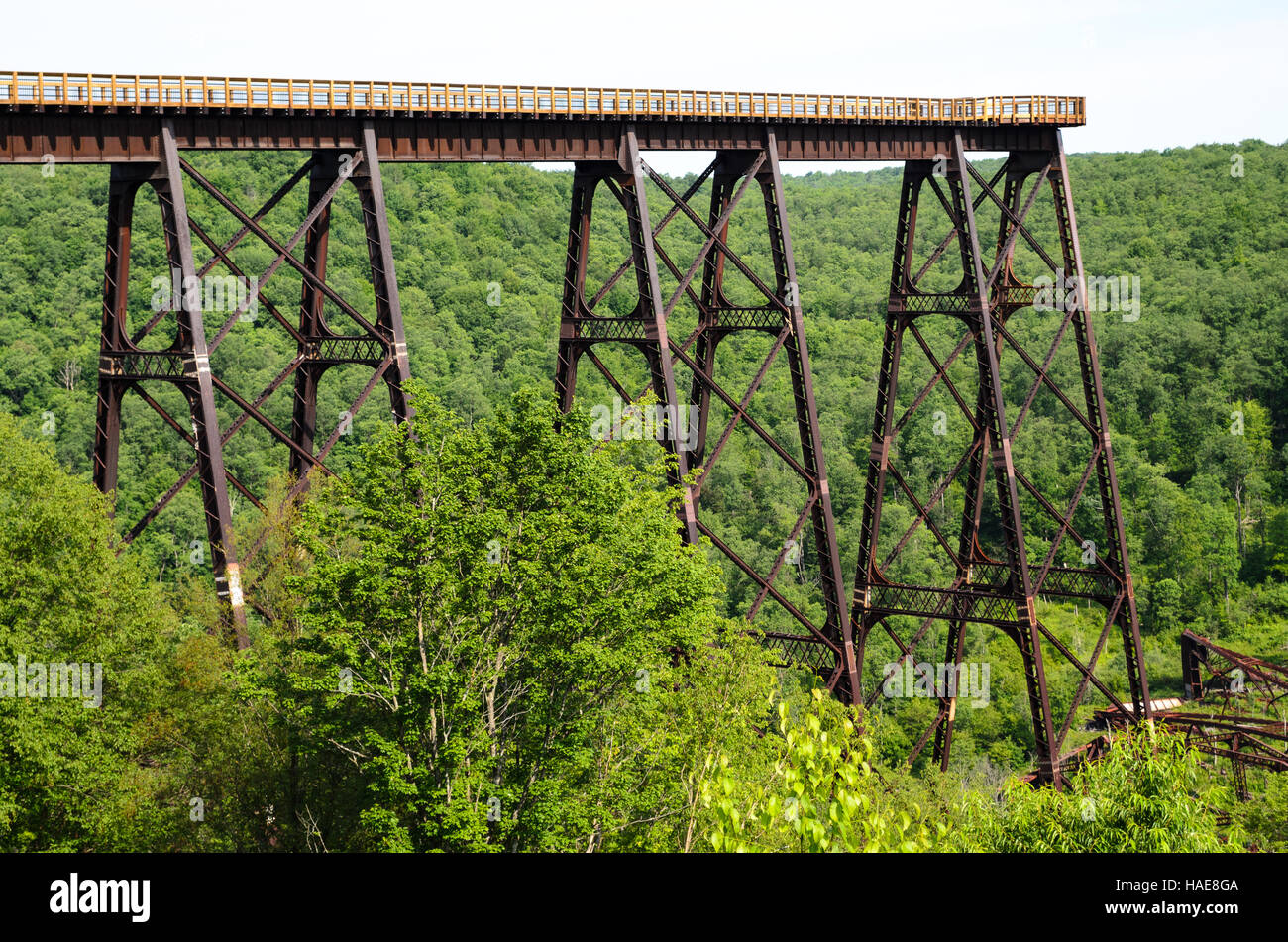 Kinzua Bridge State Park Stock Photo - Alamy