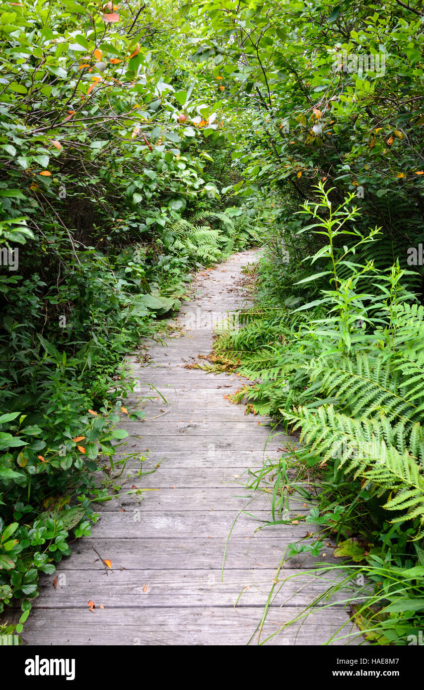 Moshannon pennsylvania hi-res stock photography and images - Alamy