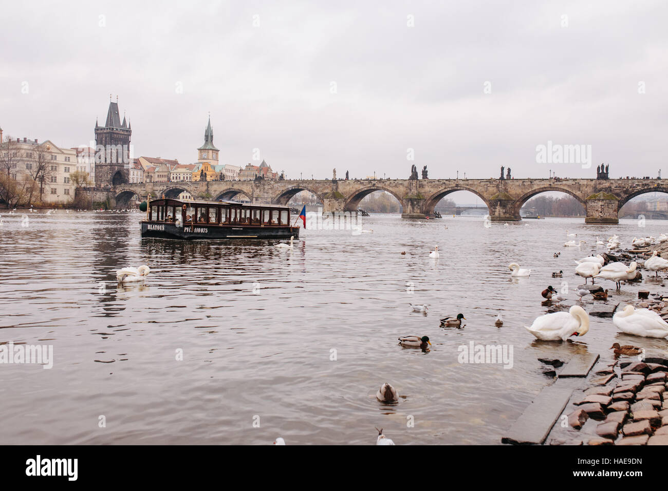 Vitava bridge hi-res stock photography and images - Alamy
