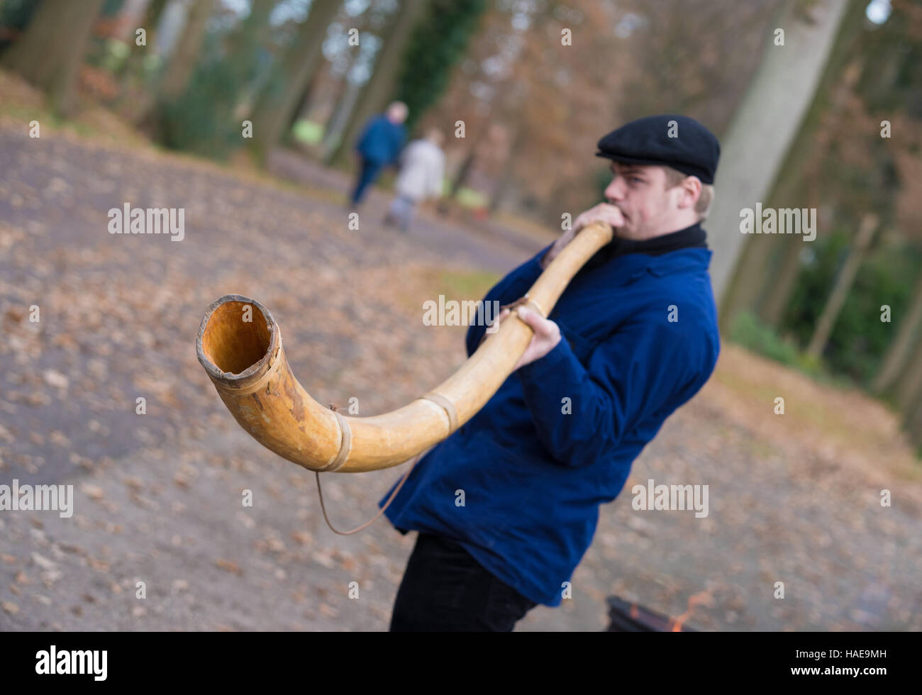 Alpine horn instrument hi-res stock photography and images - Alamy