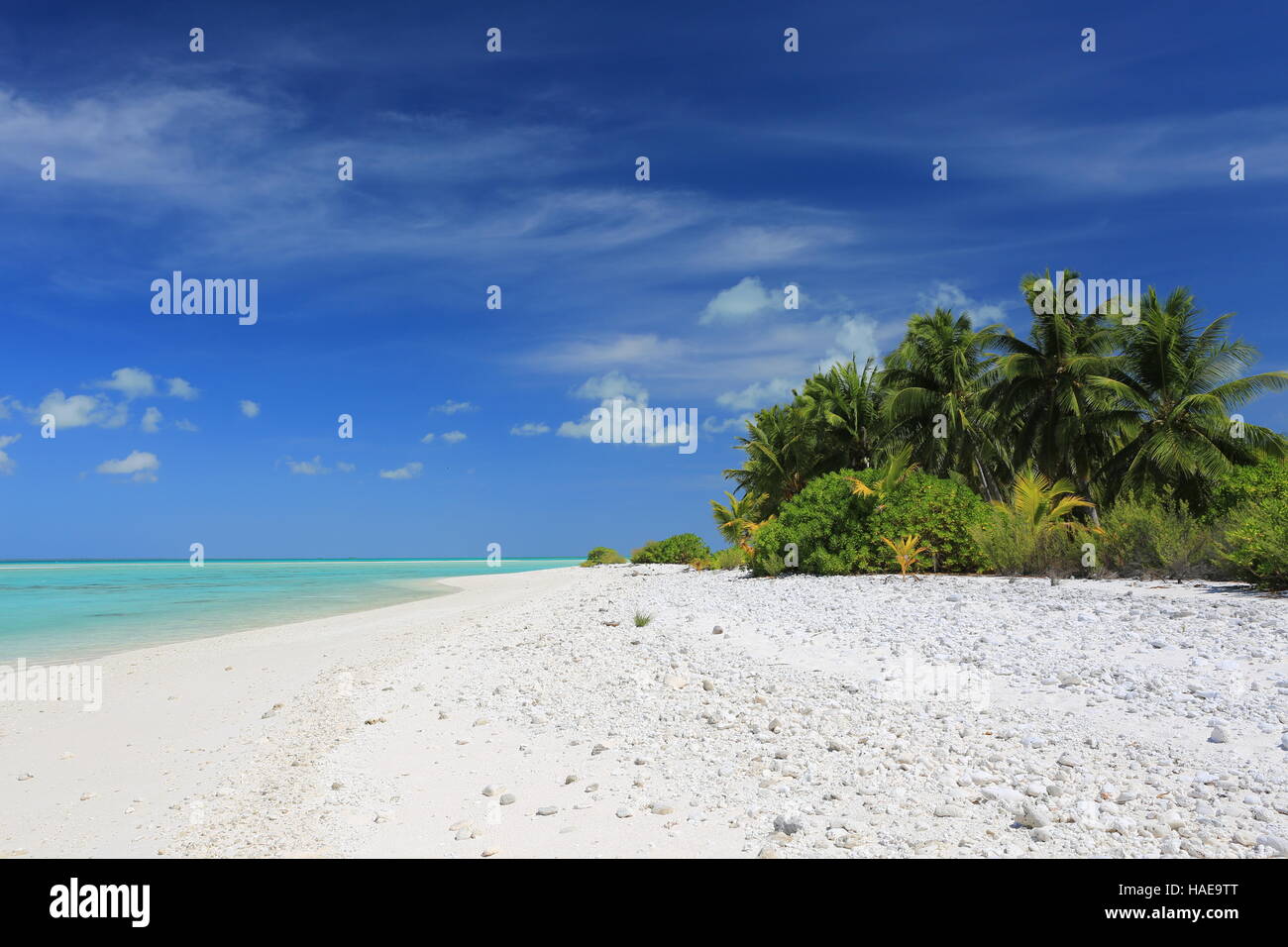 Pristine remote coco palm beach, Christmas Island, Kiribati Stock Photo ...