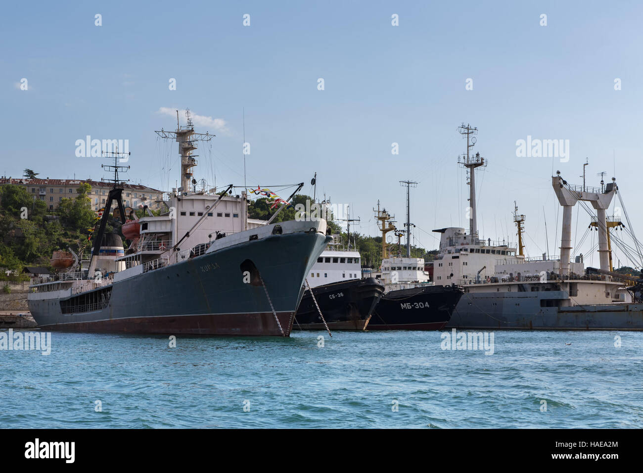 Average sea tanker Koida in the Bay of Black Sea Stock Photo - Alamy