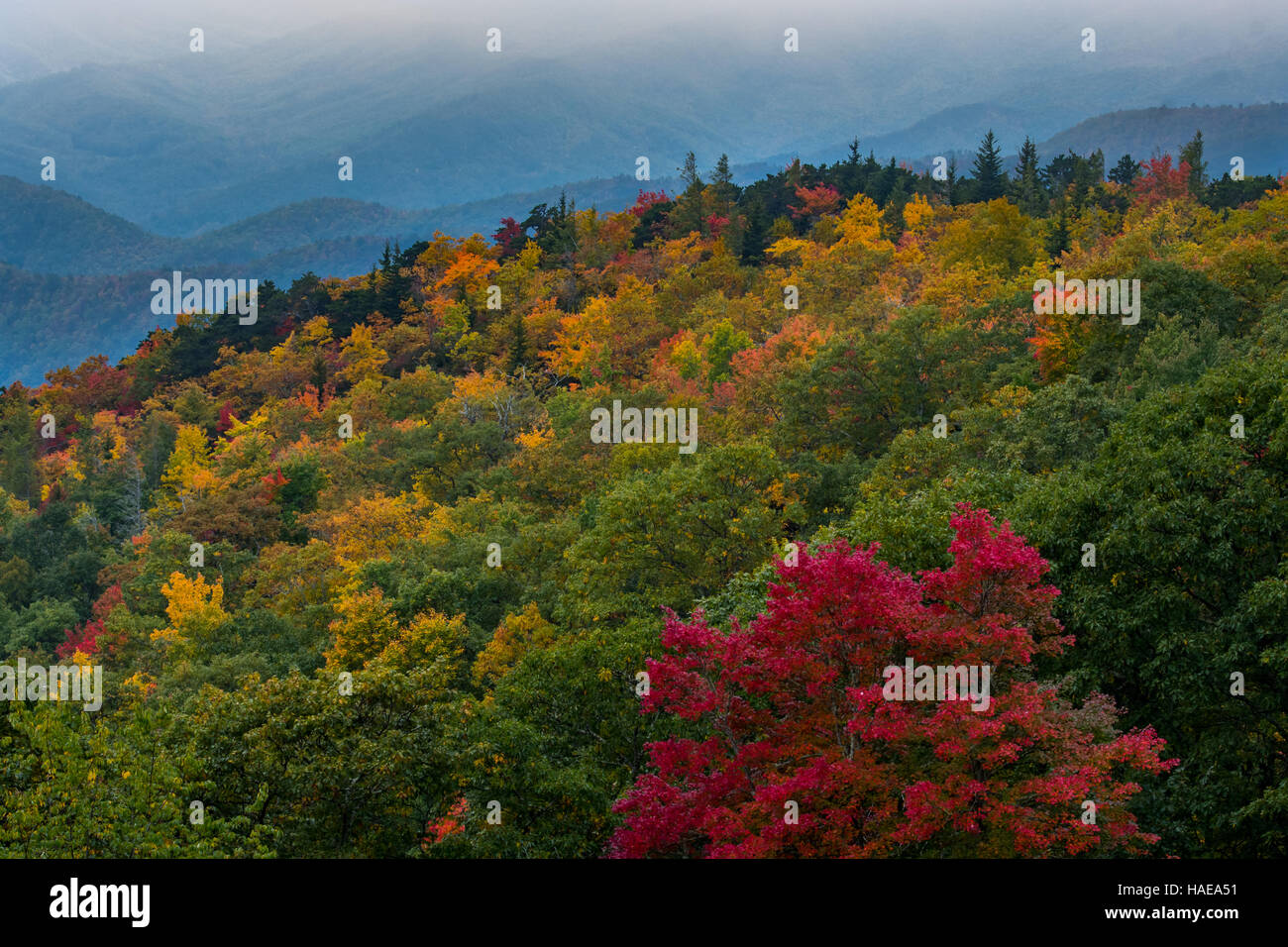Rounded mountain hi-res stock photography and images - Alamy