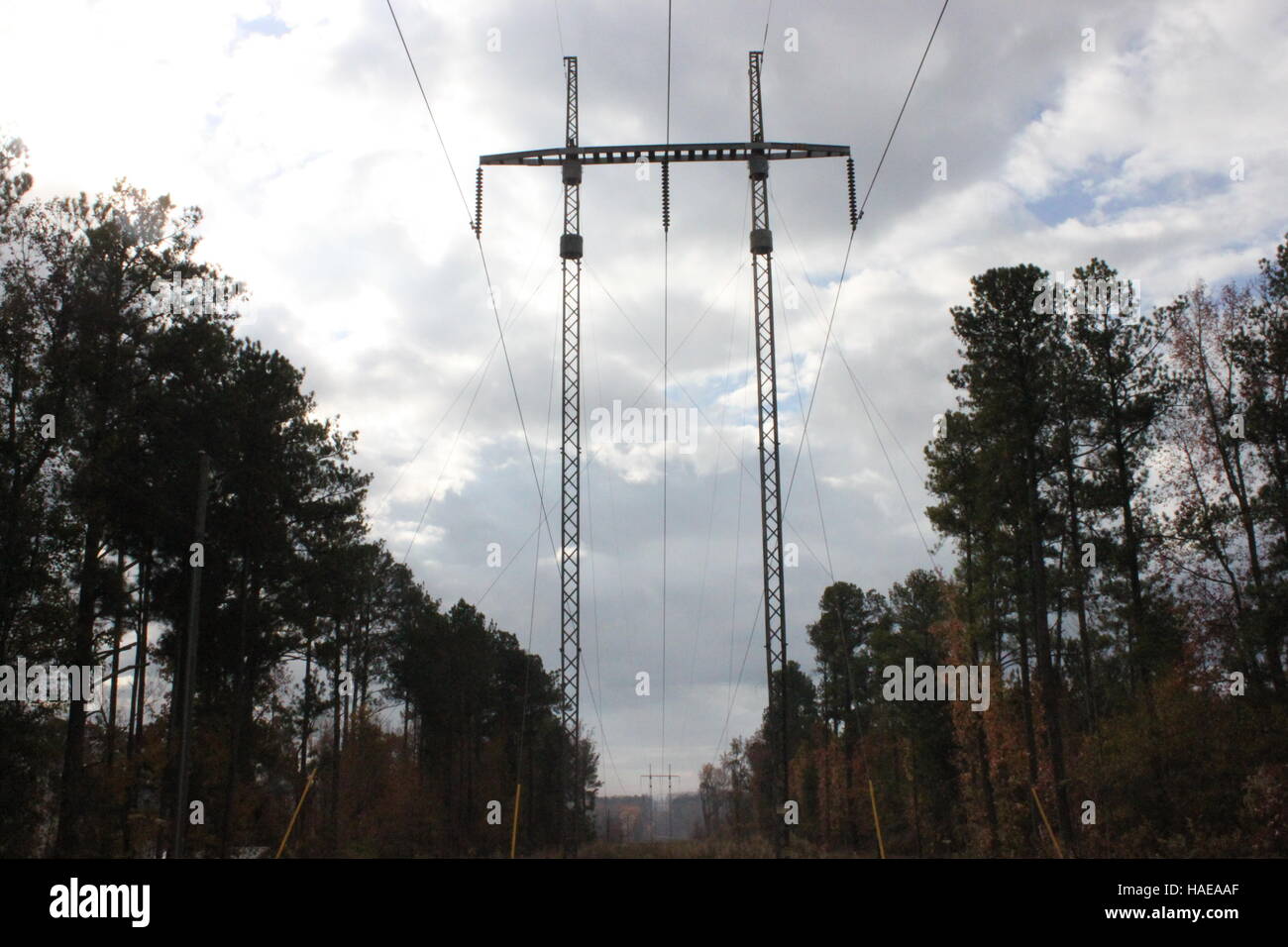 Power lines in between trees Stock Photo - Alamy