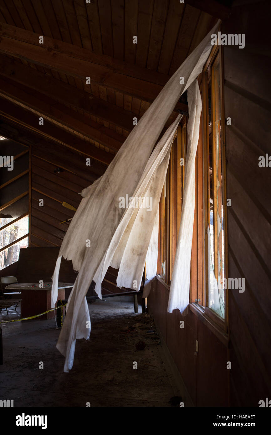 old ripped white curtains Stock Photo - Alamy