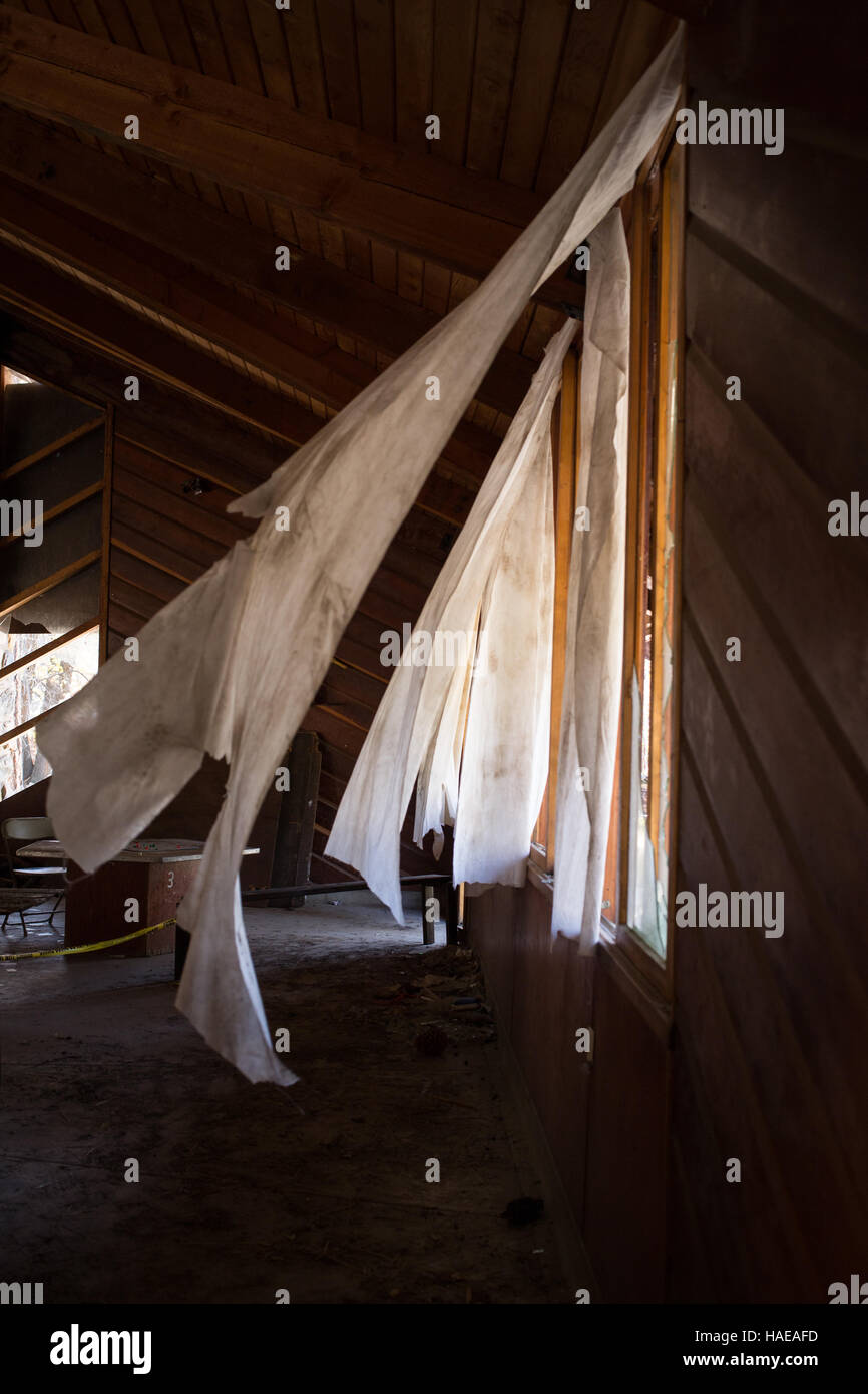 Ripped Curtain